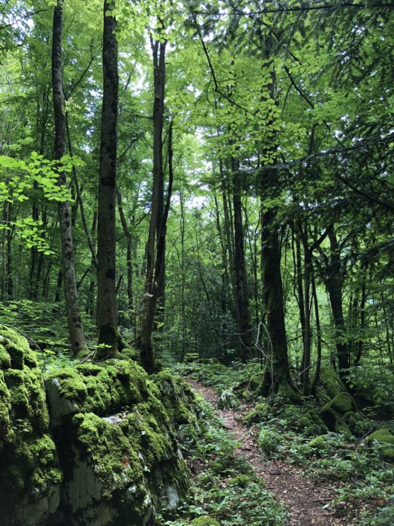 10 destinations nature avec panorama de rêve à - de 100km de Lyon - Foutrak
